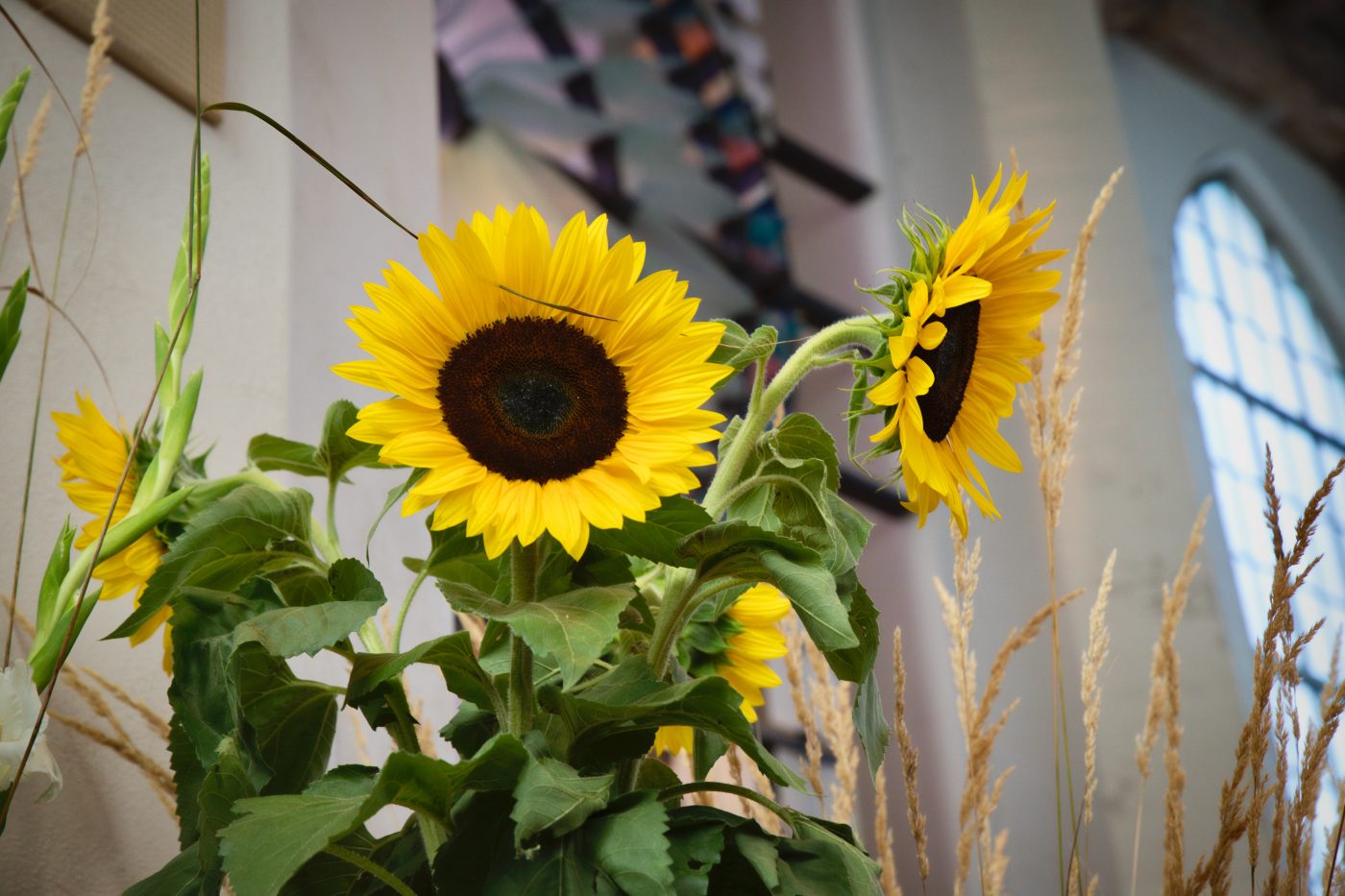Flower Ministry - Saint Mark's Episcopal Cathedral