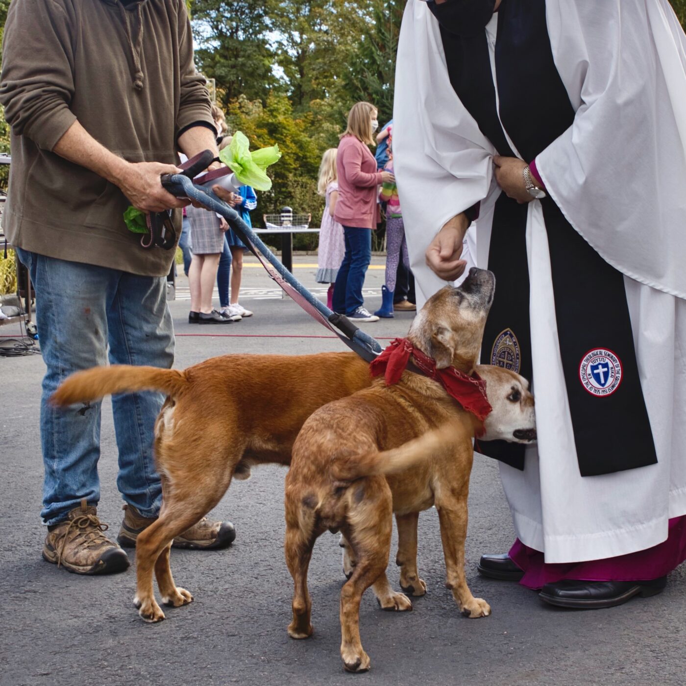 St. Francis Day & Blessing of the Animals, 2022 - Saint Mark's ...