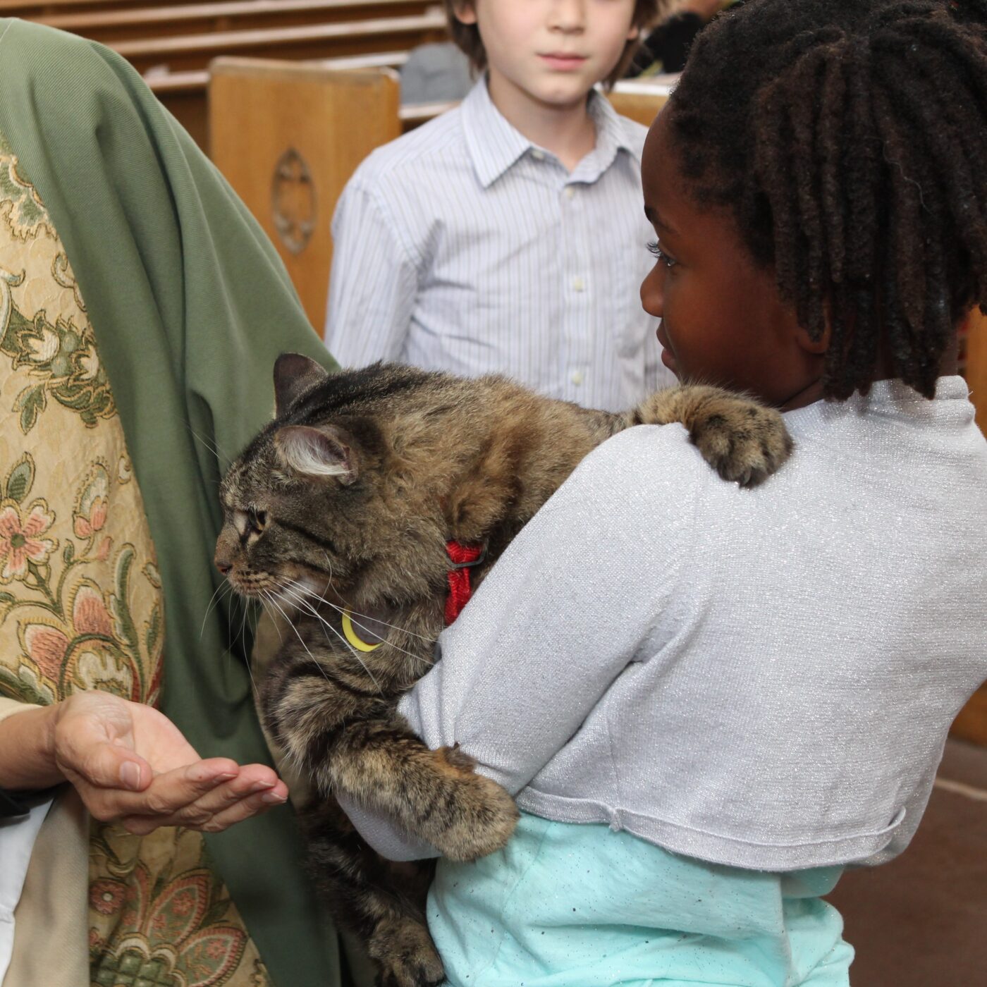 St. Francis Day & Blessing of the Animals, 2022 - Saint Mark's ...