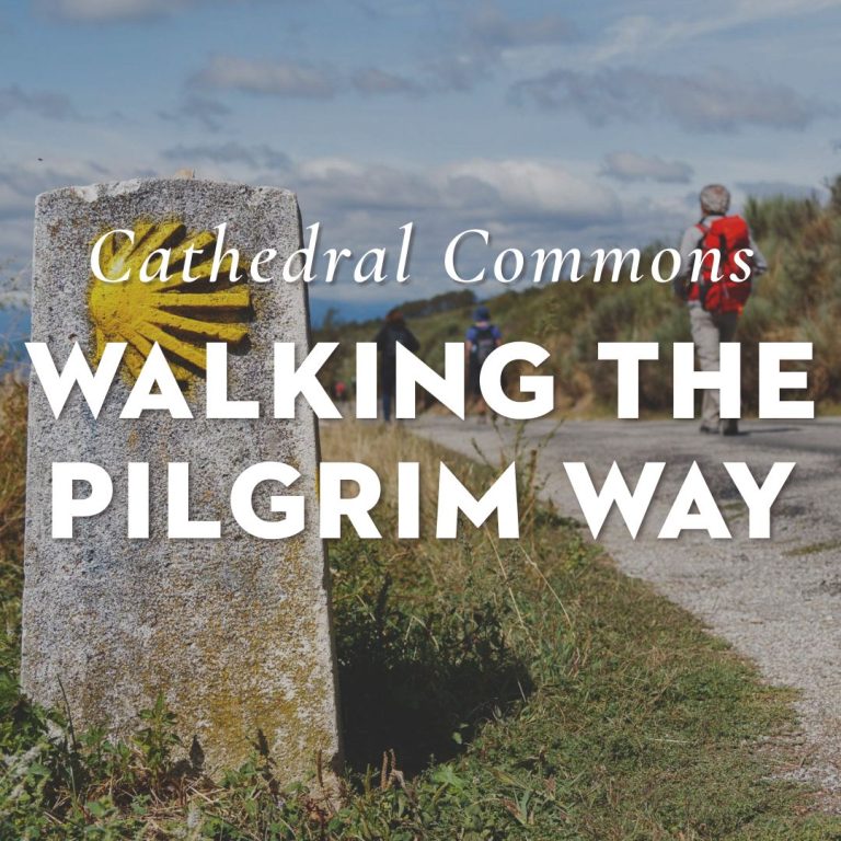 Walking the Pilgrim Way: The Camino de Santiago - Saint Mark's ...
